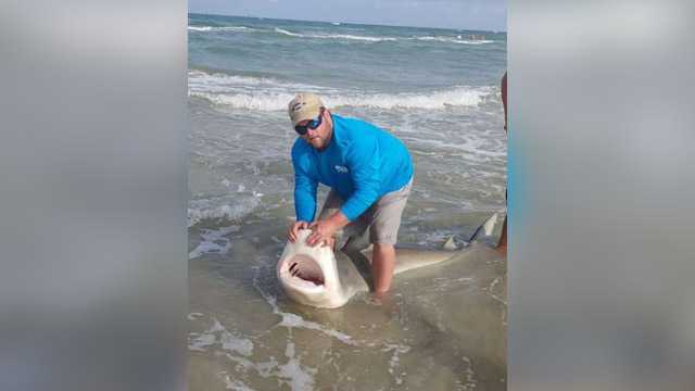 Fisherman catches 300-pound, 7-foot shark off coast of Texas