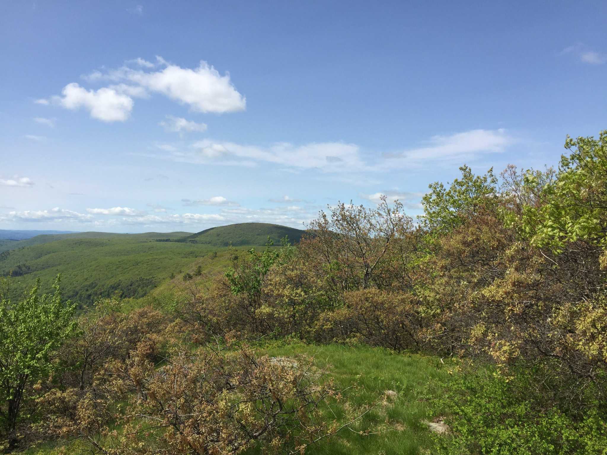 Taking a Hike columnist explores Mount Race