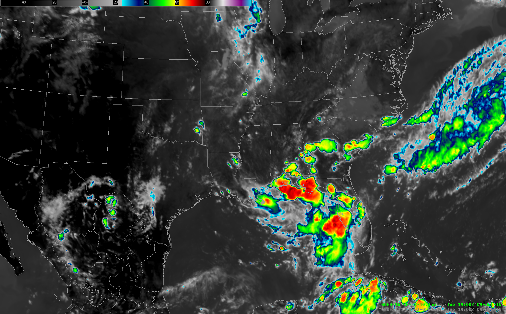 See how the potential hurricane in the Gulf is forming