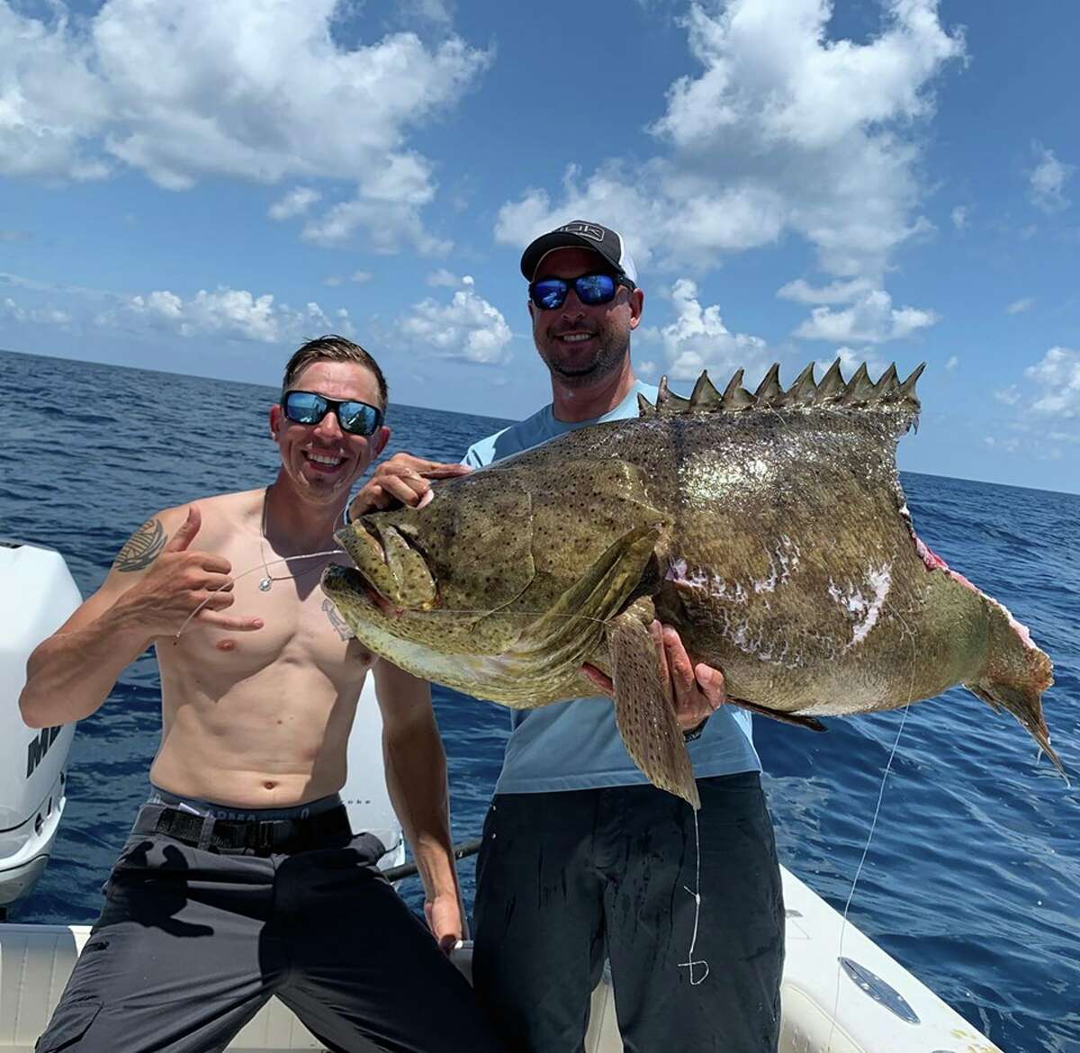 Huge fish bitten in half by shark moments after angler got out of the water