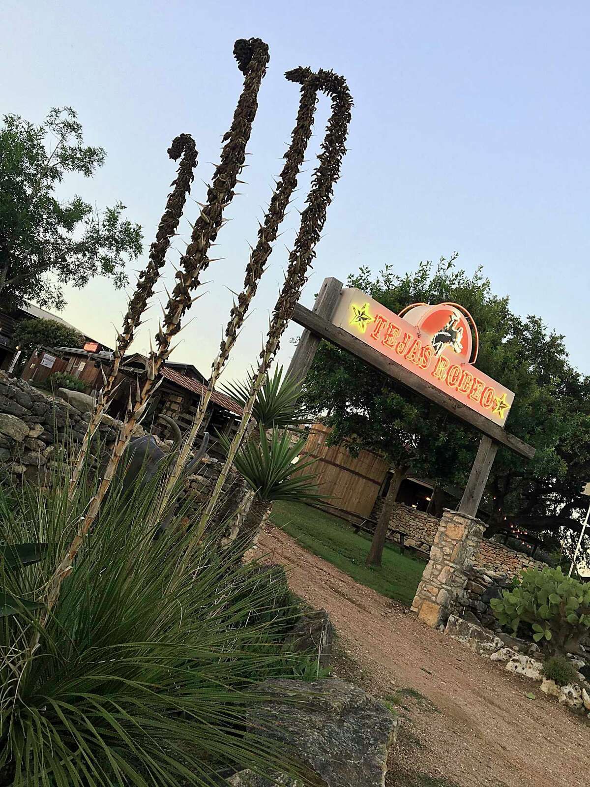 Review: Rodeo spirit energizes Tejas Steakhouse in Bulverde