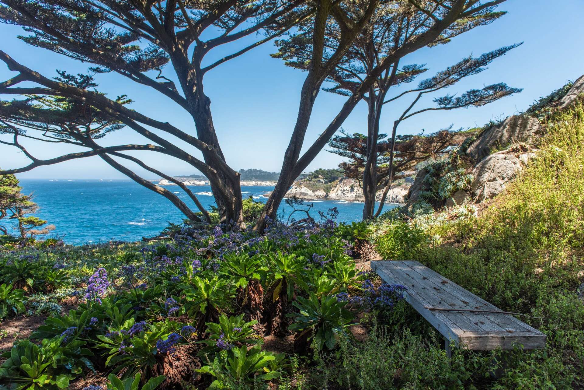 Carmel compound seen in 'Big Little Lies' and 'Basic Instinct' asks $52 ...