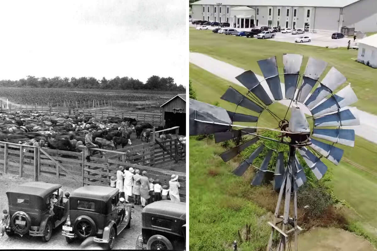 'Lost empire': Video shows how Houston's historic LH7 ranch changed ...