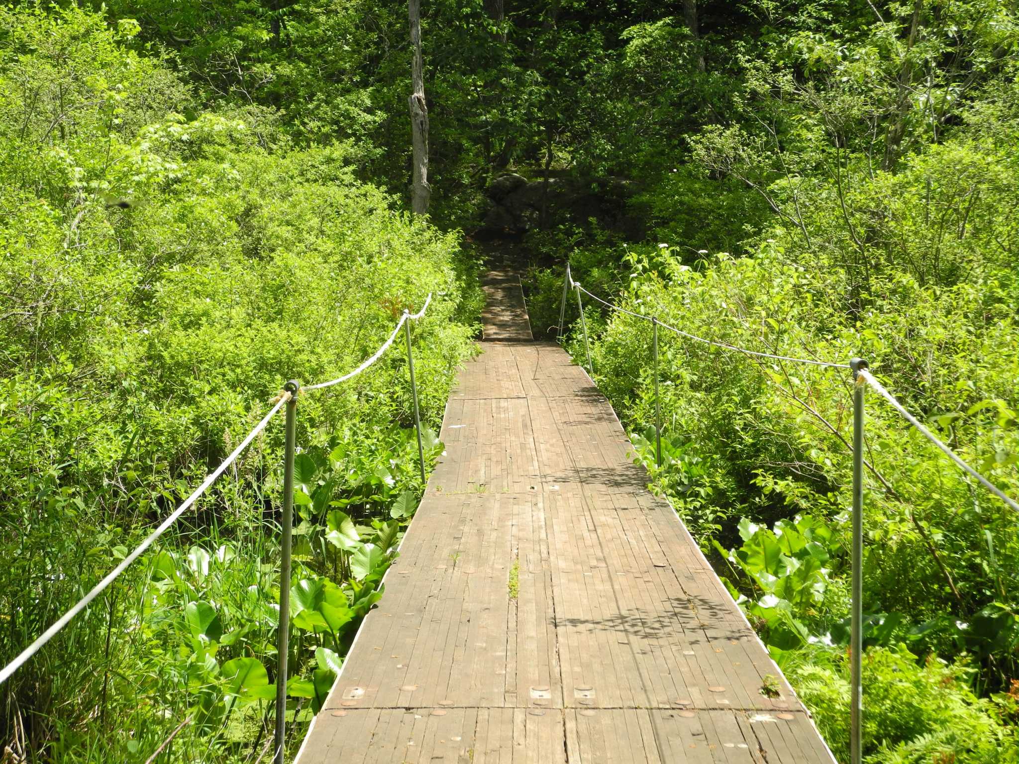 Wilton Bulletin Board: Hiking, knitting, puppets