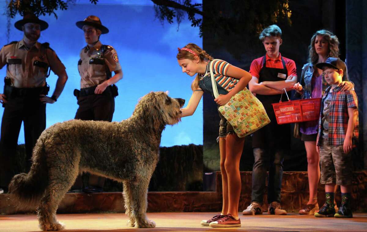 Theater review: 'Because of Winn Dixie' lacks interaction, drama