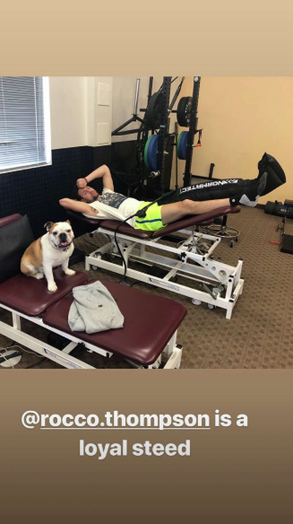 Klay Thompson praises his dog Rocco, who was a good boy while he was ...