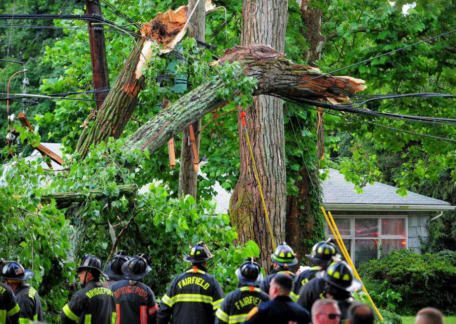 Extrication of branch victim delayed by wait for utility crew
