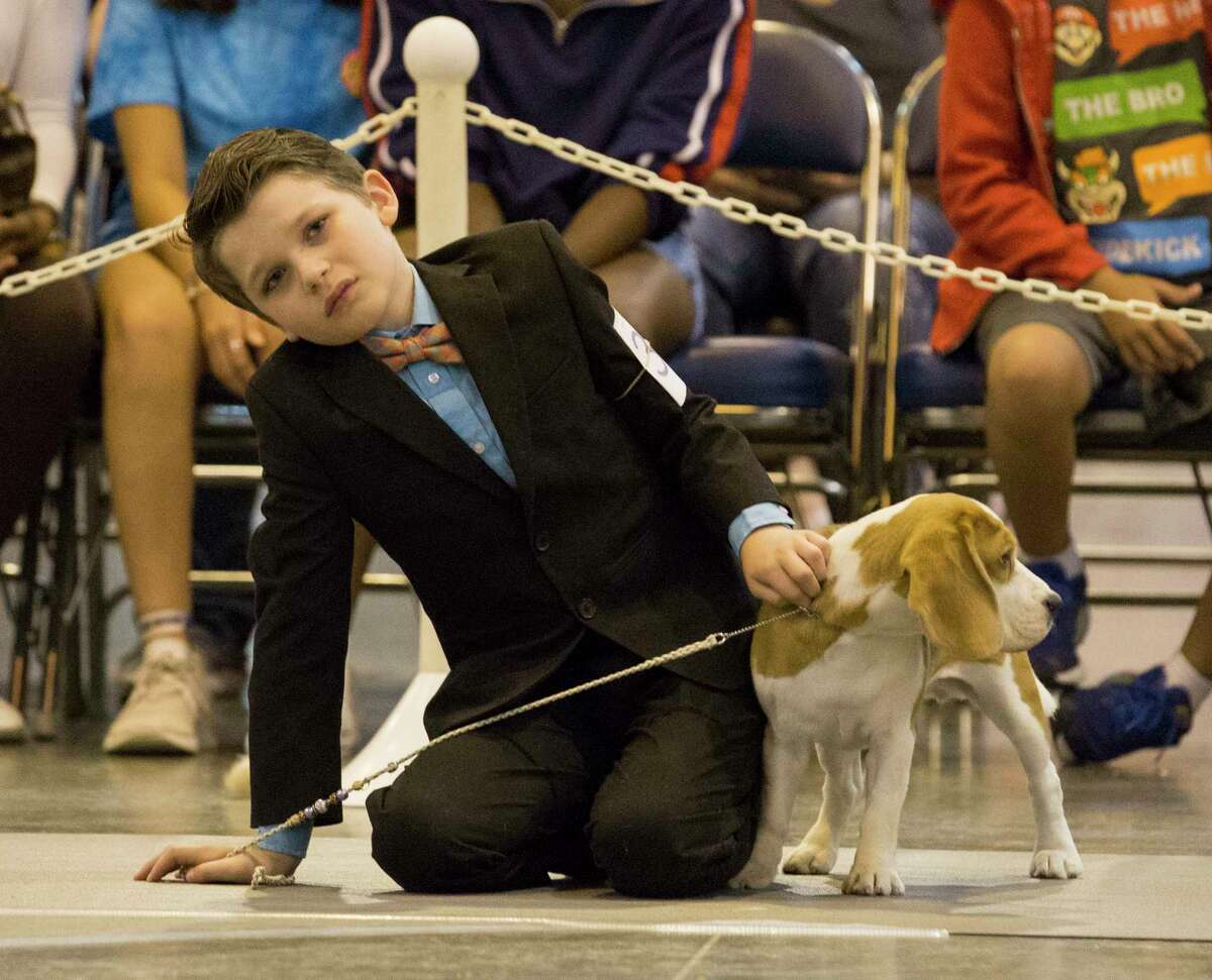 NRG Center goes to the dogs at Houston World Series of Dog Shows