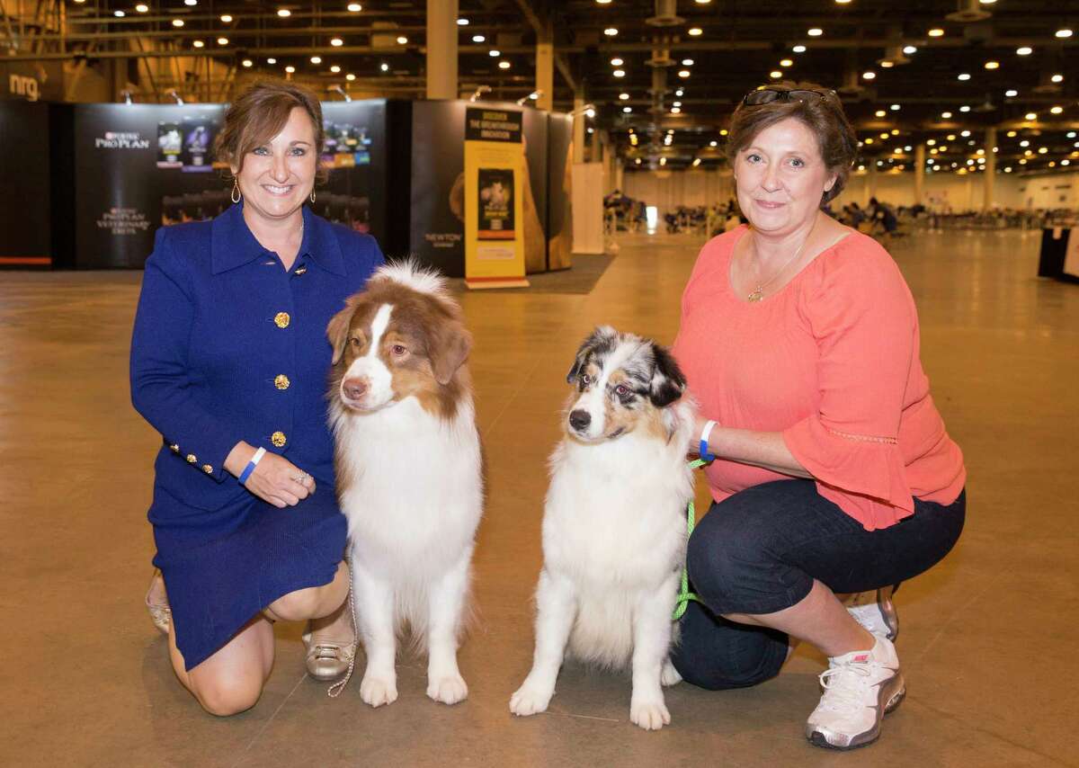NRG Center goes to the dogs at Houston World Series of Dog Shows