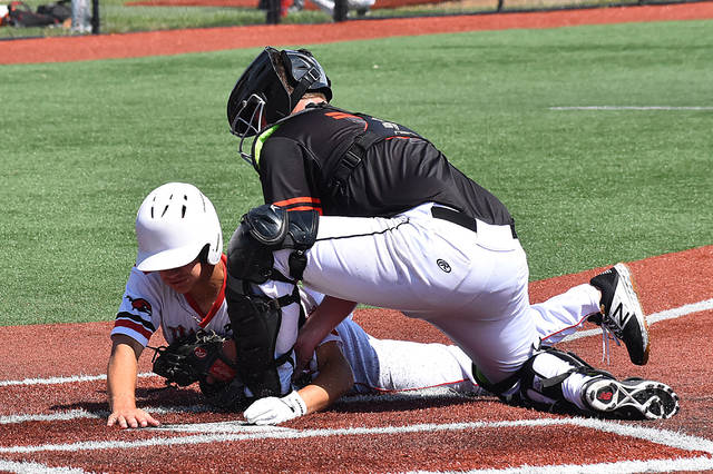 BASEBALL: Tigers fall in semifinals