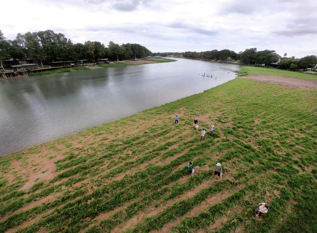 After Lake Dunlap’s dam partially collapsed, researchers count ...