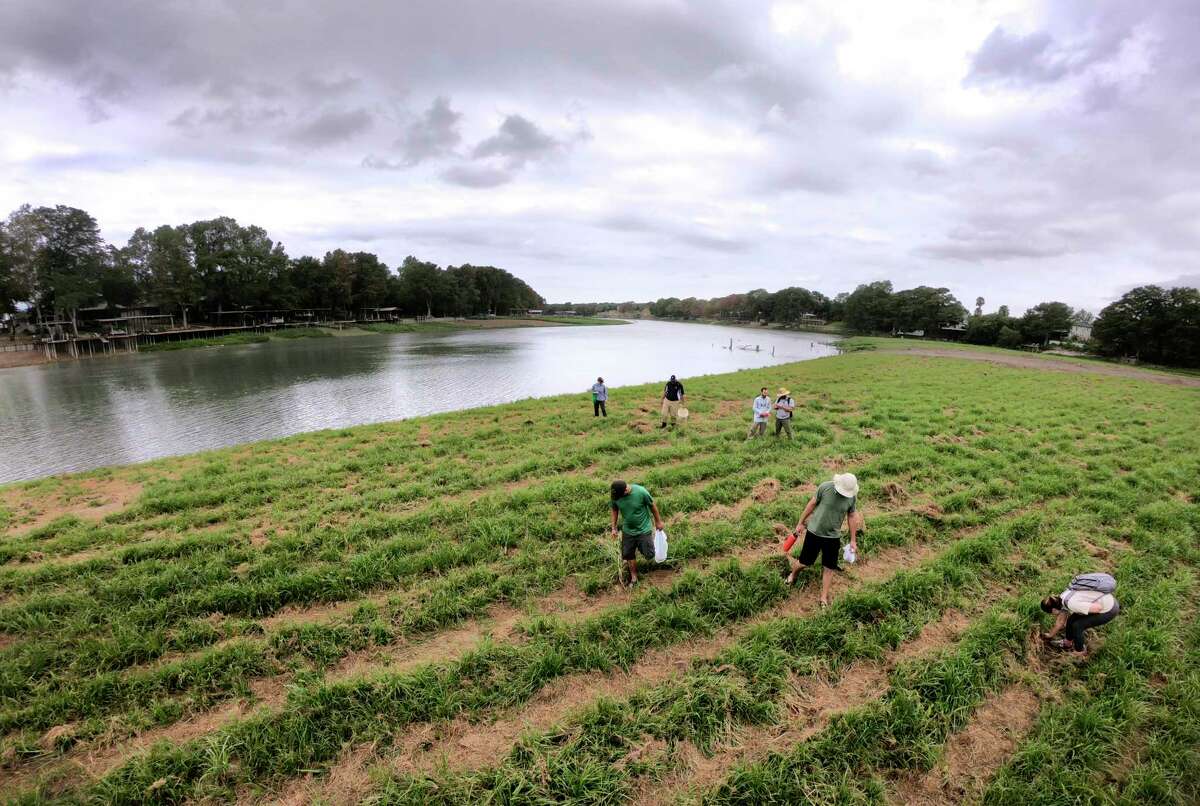 After Lake Dunlap’s dam partially collapsed, researchers count ...