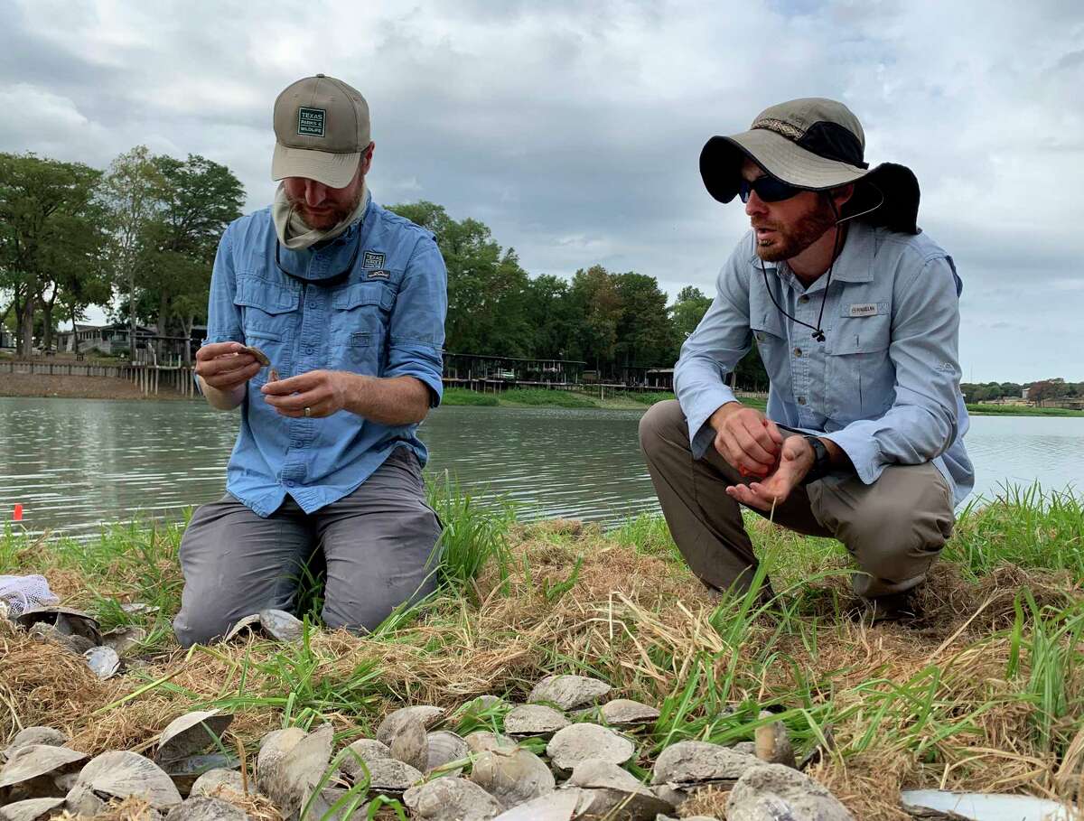 After Lake Dunlap’s dam partially collapsed, researchers count ...
