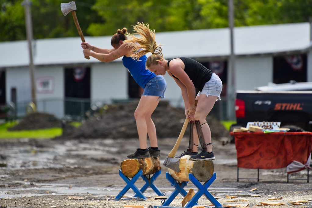Fun facts, difference in region's county fairs