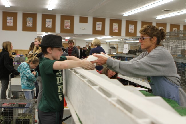 Rabbit show brings participants from across the country