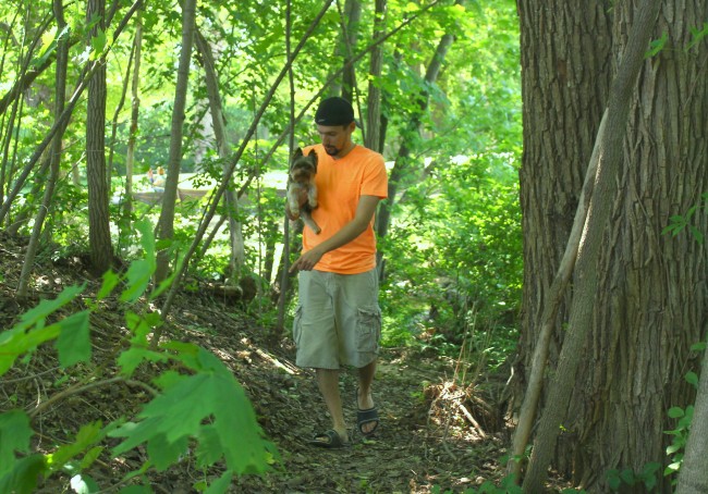 Insect season is underway in Mecosta County