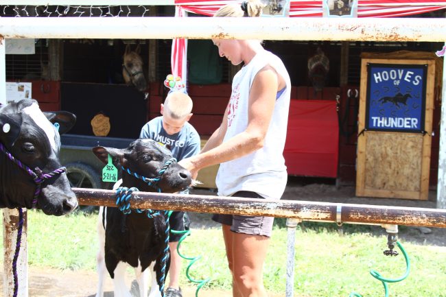 Mecosta County Fair begins Monday