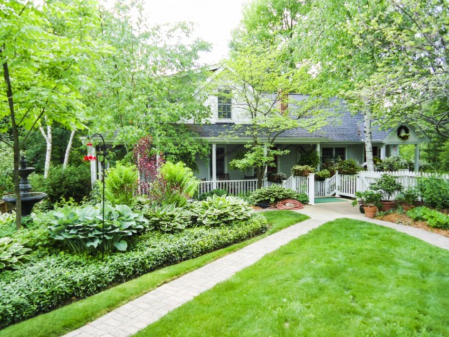 In our neighbor's backyard