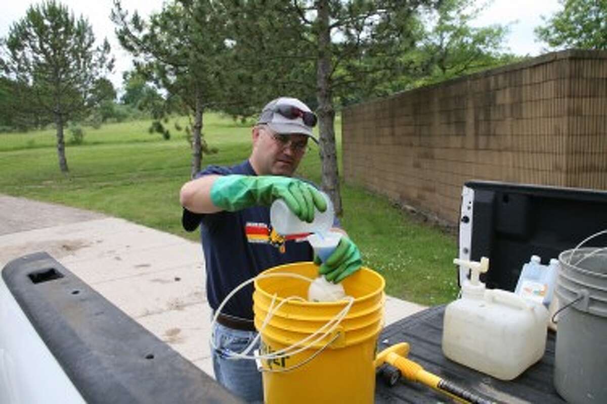 Ash borer brings big problems to the city