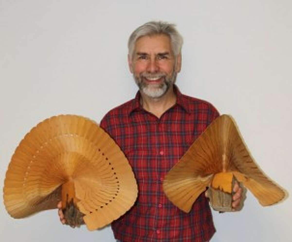 Artworks unveils fabric, cedar art in new summer exhibit