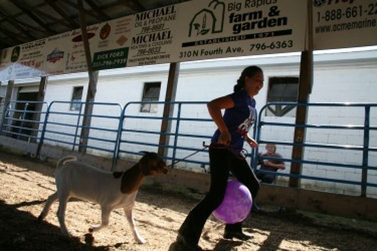 Goats add challenge to fair obstacle course