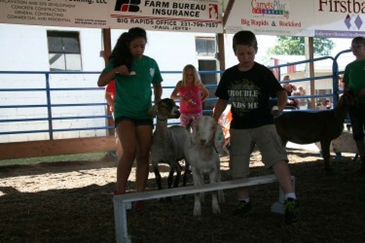 Goats add challenge to fair obstacle course