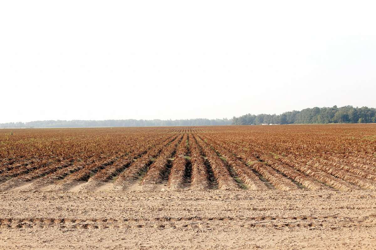 Michigan drought declared natural disaster