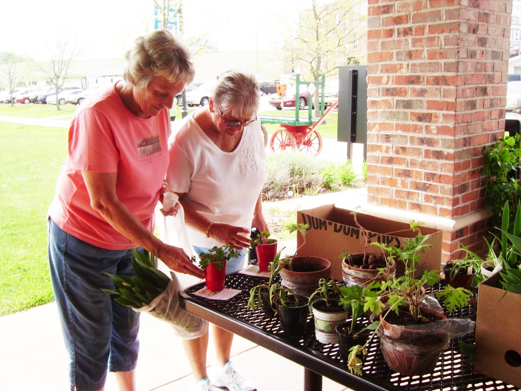 Plant and Seed Swap event looking to grow