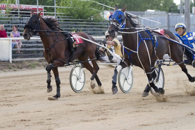 Erin Bollman wins 19th annual Celebrity Harness Race