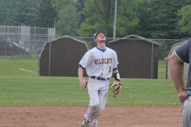 Evart baseball players earn Highland Conference honors