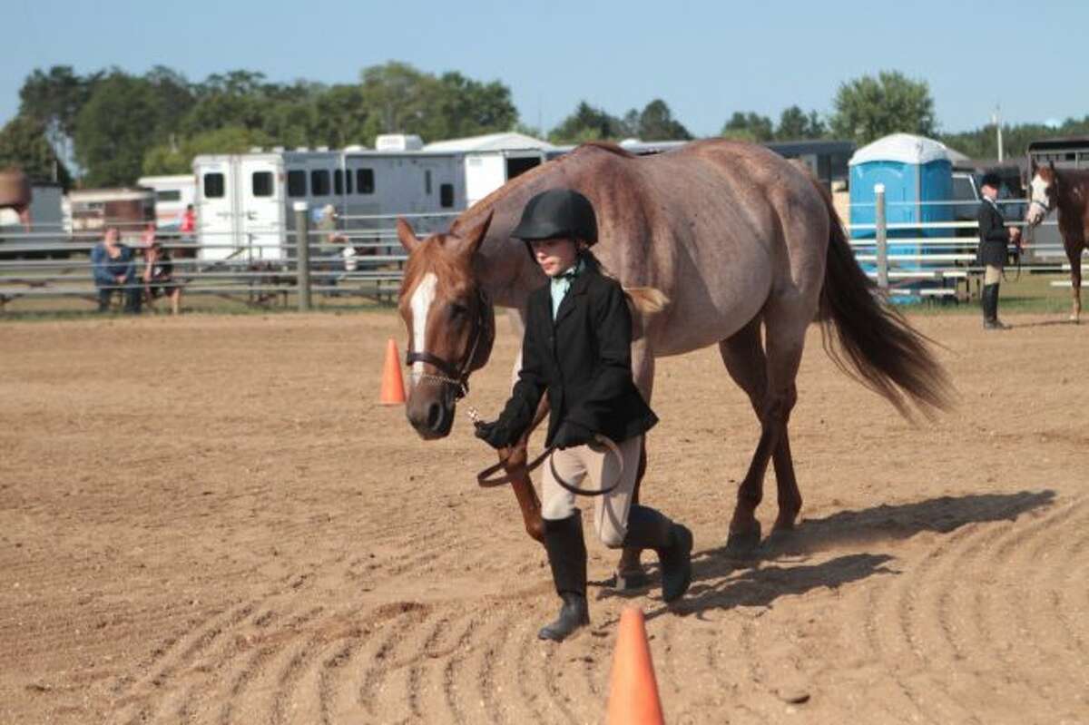 Horse classes continue at fair with English showmanship