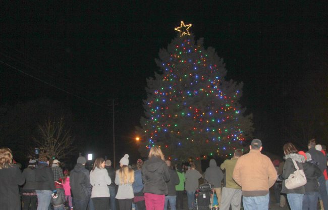 Community members celebrate lighting of tree