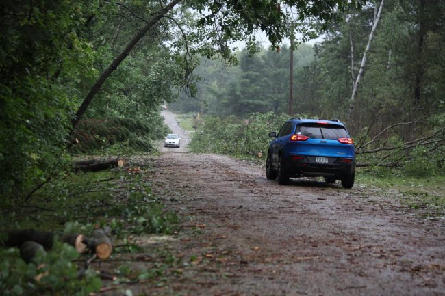 High winds knock down trees, power lines during storm