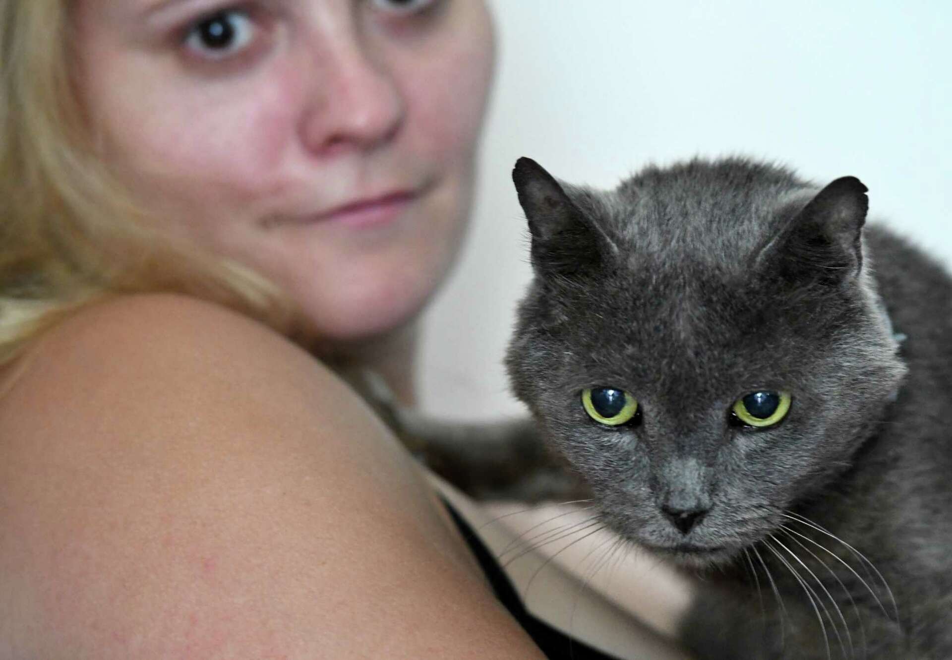 Churchill: The remarkable adventures of Mario the cat