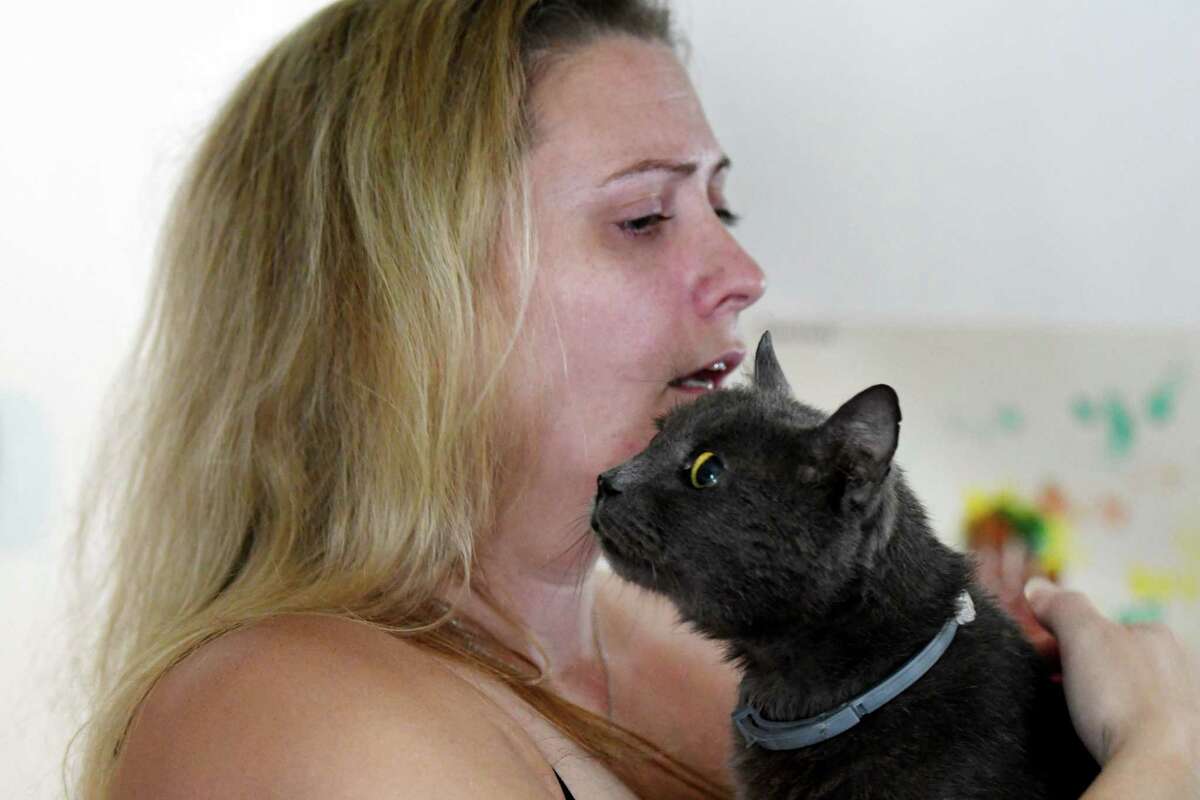 Churchill: The remarkable adventures of Mario the cat