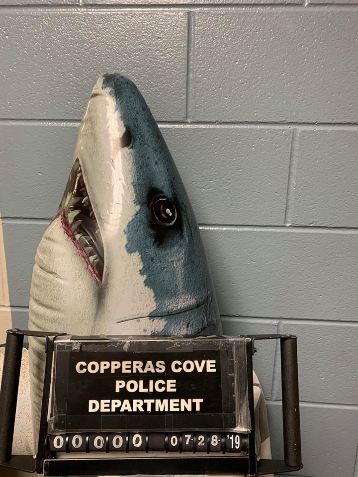 Texas cops 'bust' shark for possession of seaweed