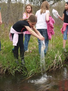 Lessons from a school of fish: Onekama Elementary School students raise ...