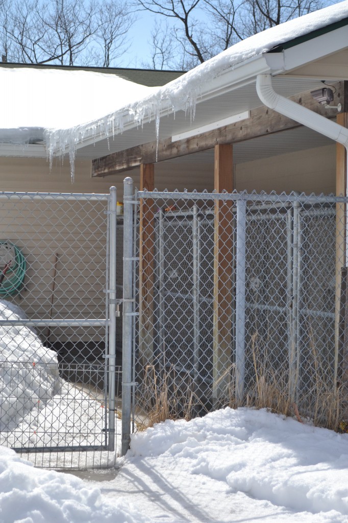 Animal shelter roof damaged by ice buildup