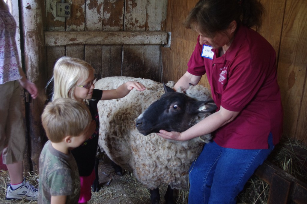 Free Soil farm to host annual sheep shearing event