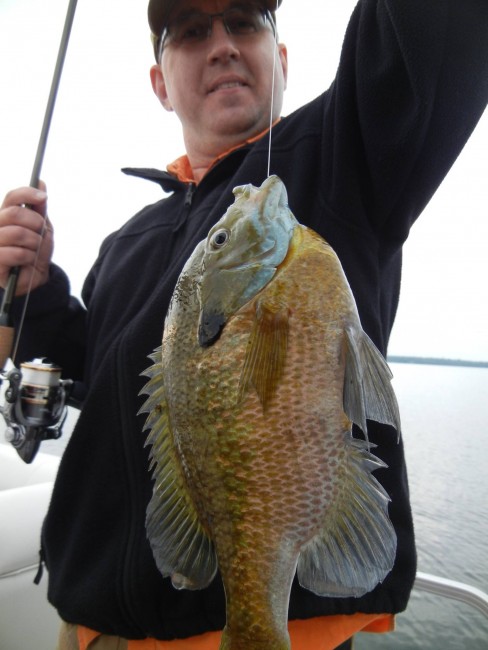 Free Soil man catches sunfish
