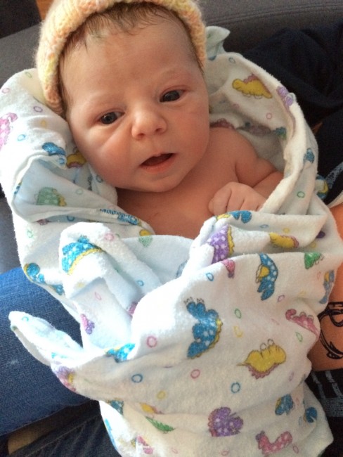 Michelle Stebbins's Instagram, Twitter & Facebook on IDCrawl