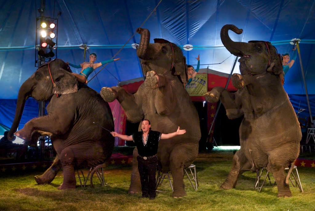 The circus is coming to town