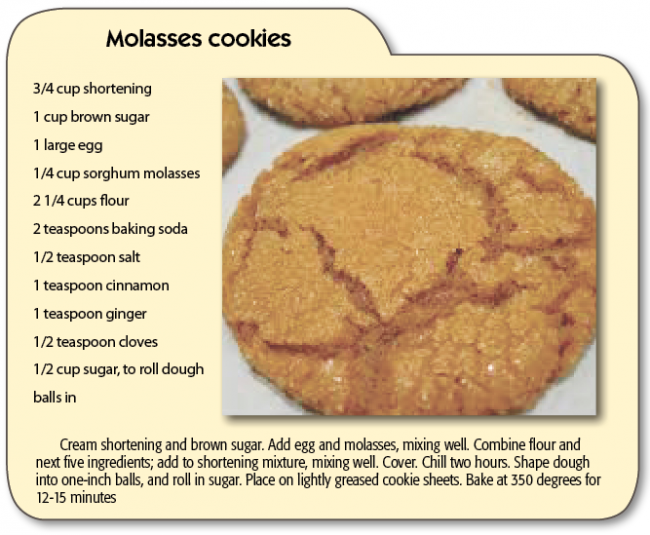 AMISH COOK: Molasses cookies to brighten a rainy fall day