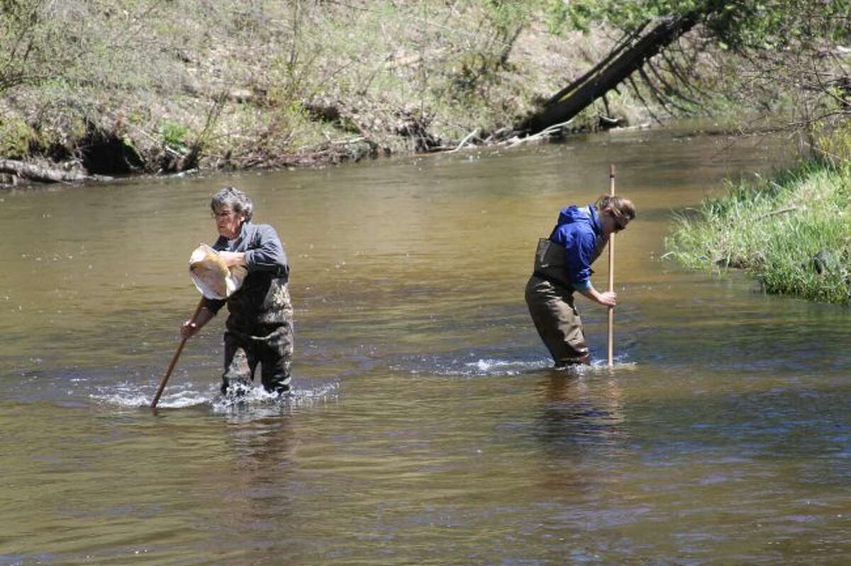 Water quality results from stream monitoring program released