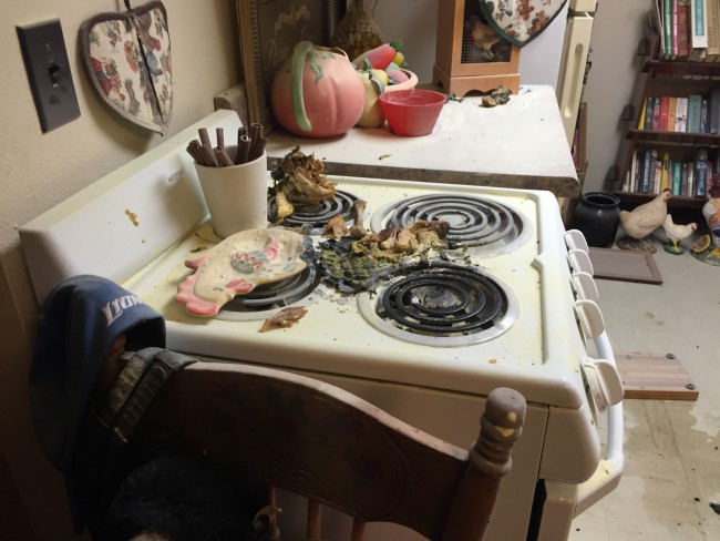 Woman involved in Century Terrace fire released from hospital