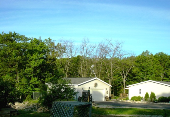 Combating invasive species