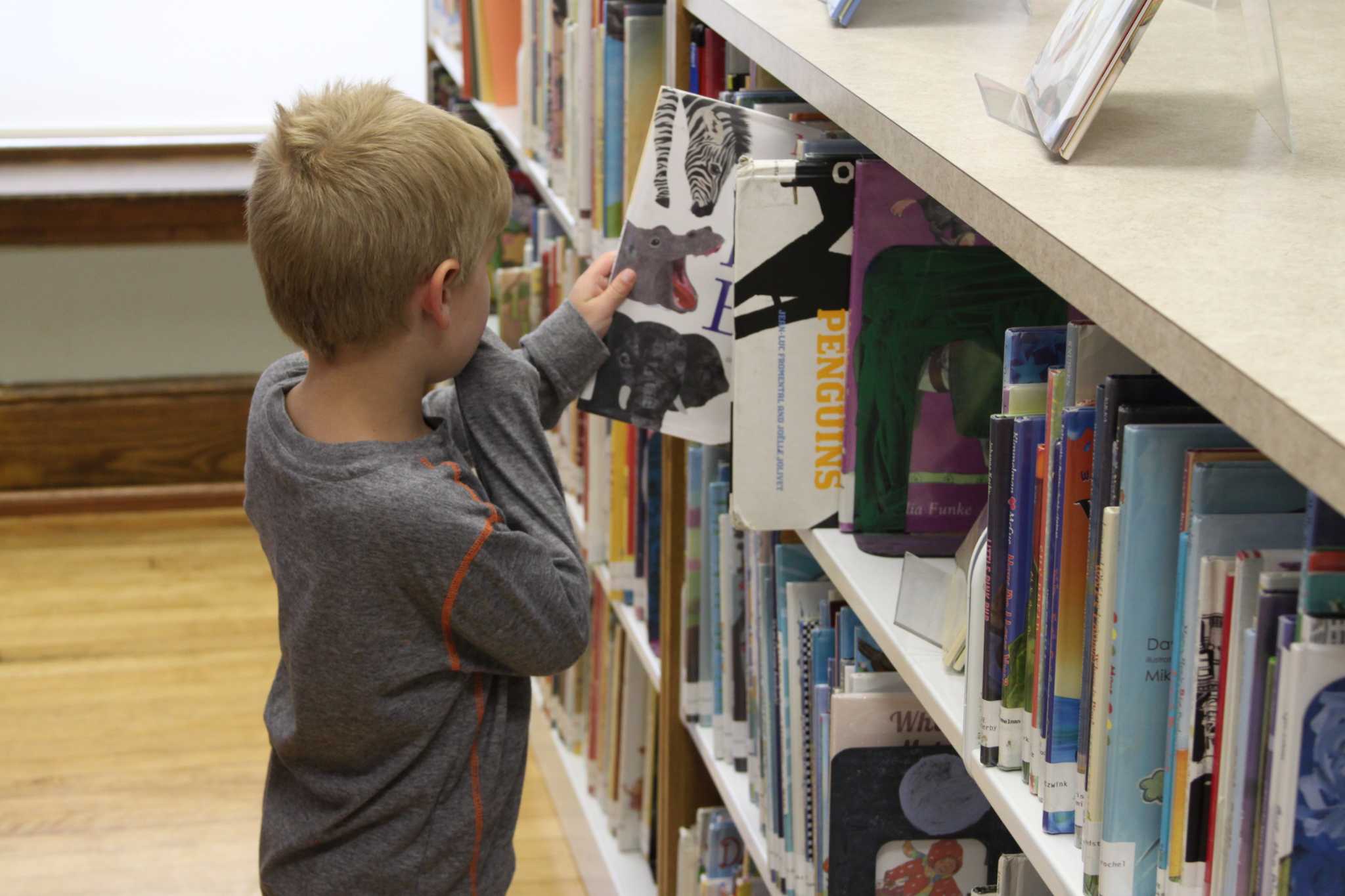 Library joins Michigan eLibrary Catalog