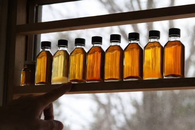 THE SOURCE OF SYRUP: Sieverts a steady producer of county's pure maple ...