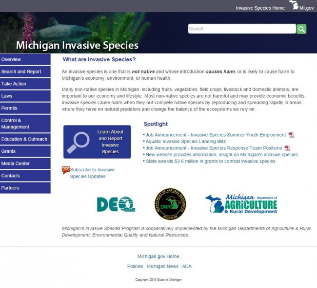 New website provides information, insight on Michigan’s invasive species