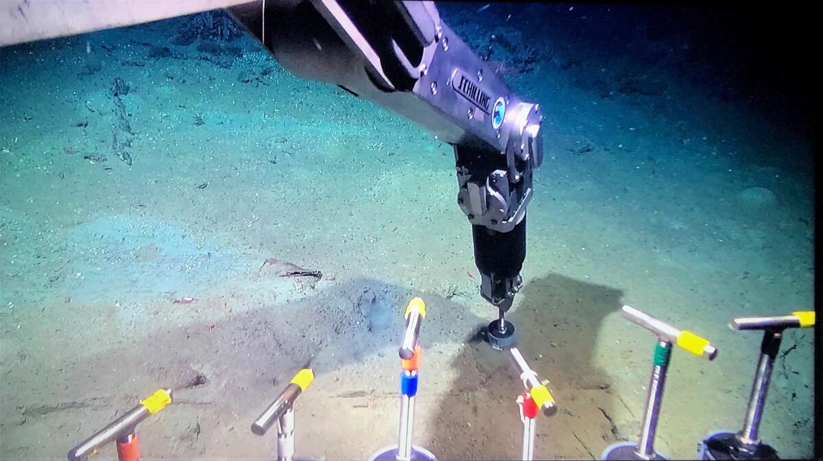 NOAA researchers discover two unexplored shipwrecks in the Gulf of Mexico